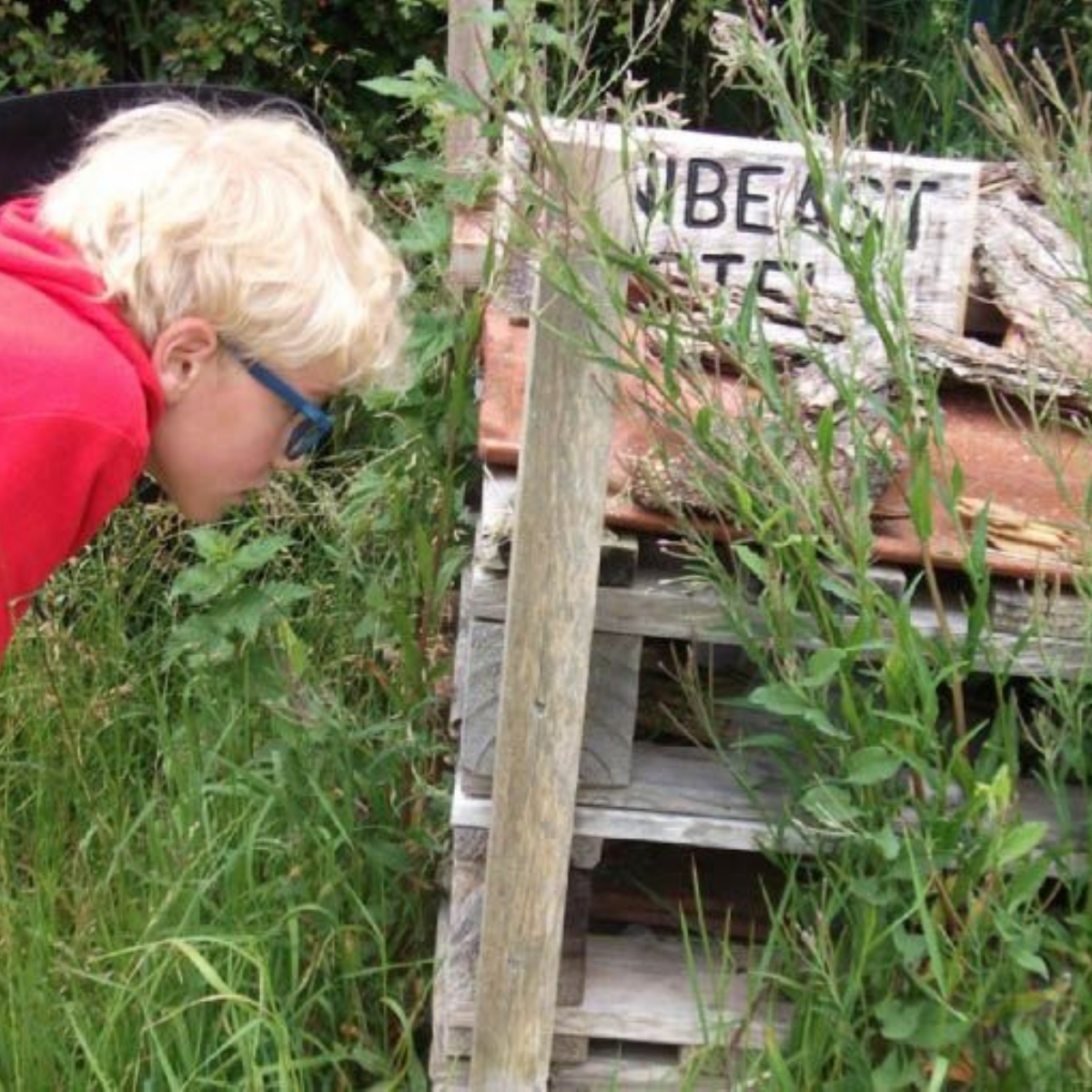 Lighthouse Schools Partnership - Wraxall CE Primary School Pupils get ...