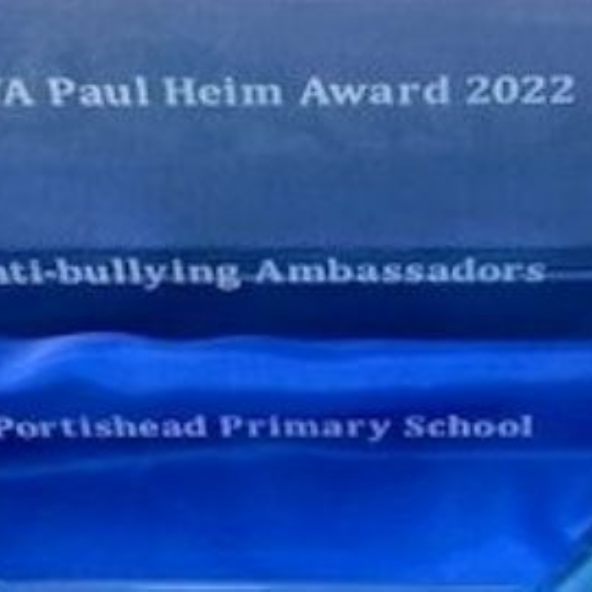 Lighthouse Schools Partnership - Portishead Anti-Bullying Ambassadors ...