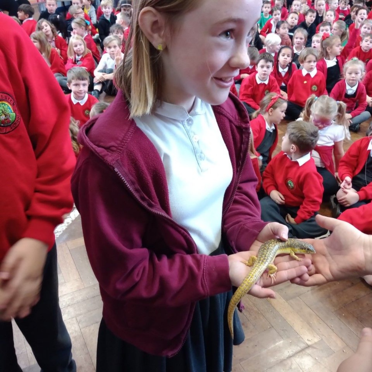Lighthouse Schools Partnership - Wild Science Encounter